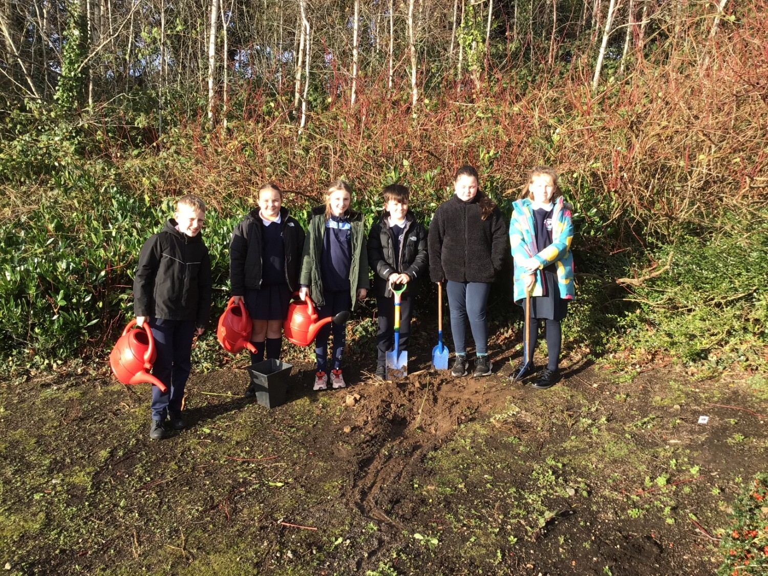 St Oliver Plunkett’s Tree